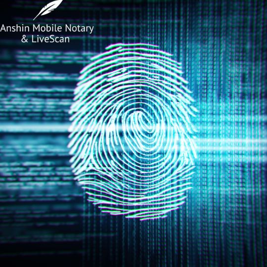 How important are Pre-Employment Background Checks?