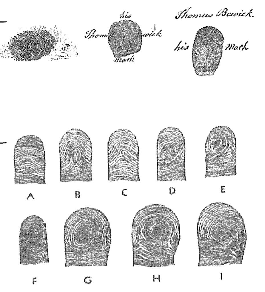 Friction Ridge Skin Science Developments in the 19th Century